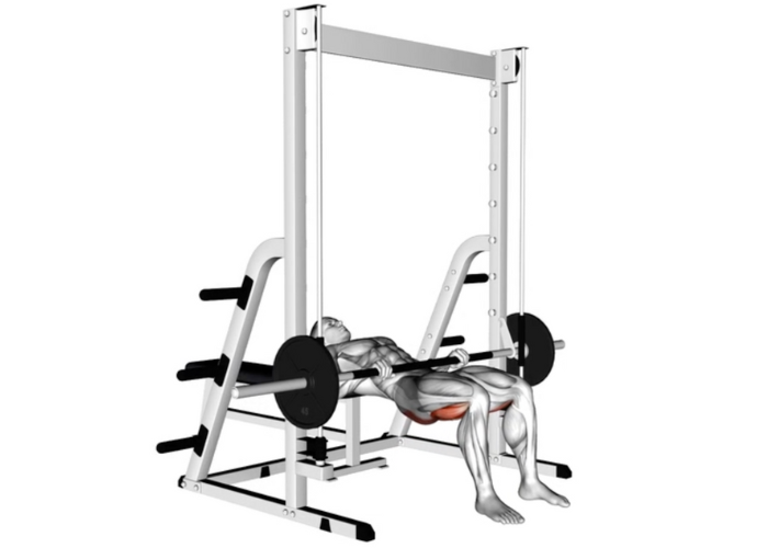 Exercices de Musculation : Top Programmes et Astuces pour Tous Niveaux ...