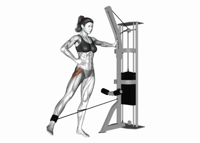 Exercices de Musculation : Top Programmes et Astuces pour Tous Niveaux ...