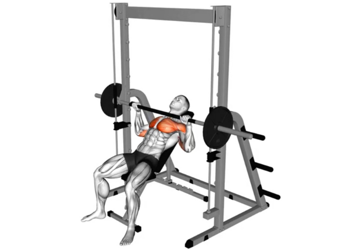 Exercices de Musculation : Top Programmes et Astuces pour Tous Niveaux ...