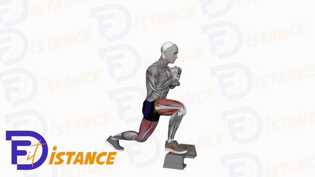 Les Meilleurs Exercices avec Step - Cardio et Musculation