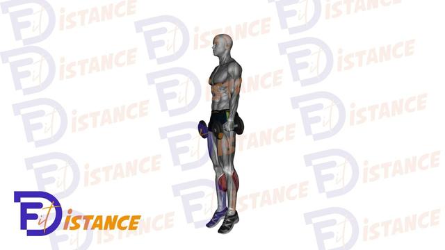 Tous Les Exercices pour les Mollets - Force et Stabilité