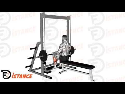 Exercice Mollet 2025 : 15+ Mouvements (Maison, Sans Matériel)