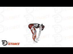 Exercice Ischio Jambier 2025 : 15+ Mouvements (Maison, Salle)